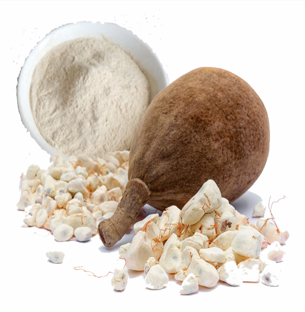 Health And Nutrition Benefits Of Baobab Powder - Yourlifestylegirl